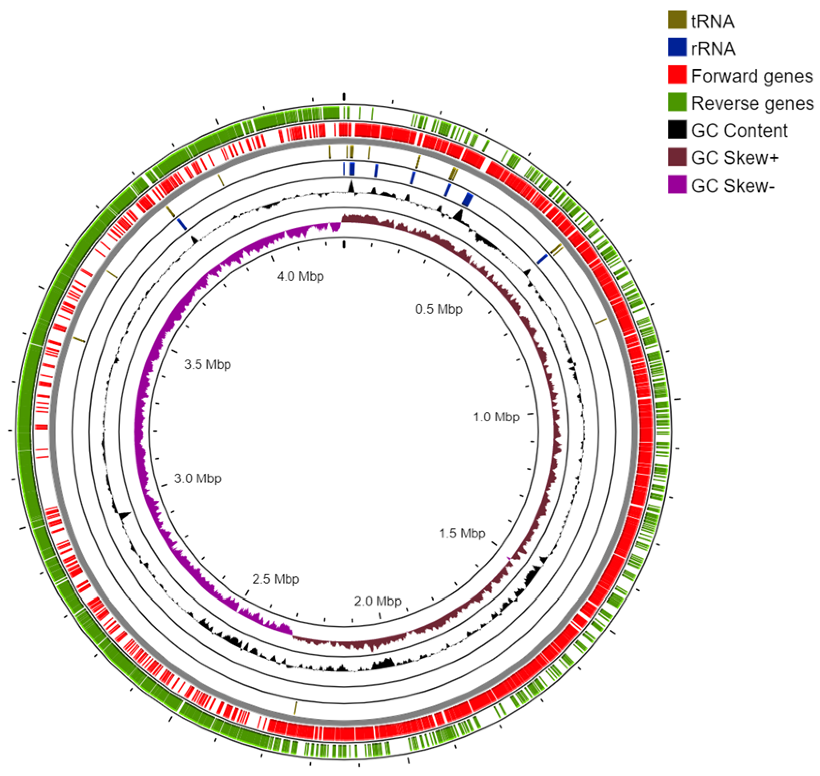 Plants | Free Full-Text | Whole-Genome Sequence Insight into the Plant-Growth-Promoting ...