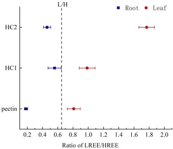 Rare Earth Elements (REEs) Adsorption and Detoxification Mechanisms in ...