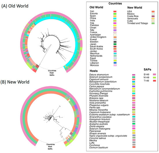 Comparative Genome Analysis of Old World and New World TYLCV Reveals a ...