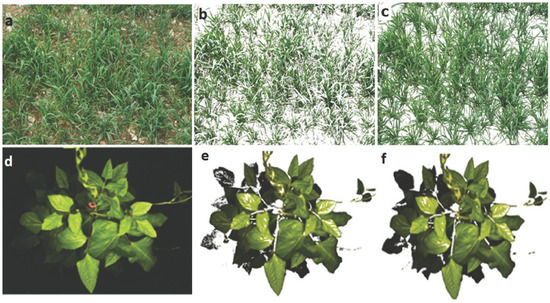 Plants | Free Full-Text | Machine Learning Methods for Automatic ...