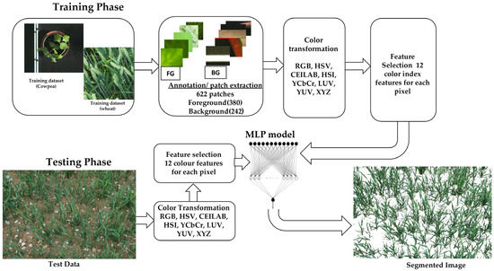 Plants | Free Full-Text | Machine Learning Methods for Automatic ...