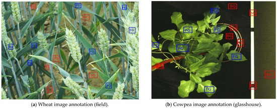 Plants | Free Full-Text | Machine Learning Methods for Automatic ...