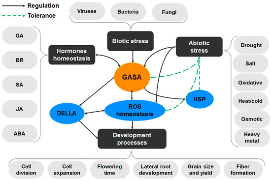GASA Proteins: Review of Their Functions in Plant Environmental Stress ...