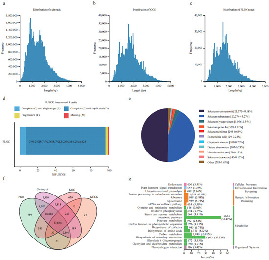 Integrated Full-Length Transcriptome and Metabolome Profiling Reveals ...