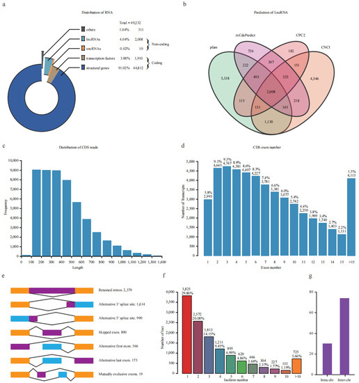 Integrated Full-Length Transcriptome and Metabolome Profiling Reveals ...