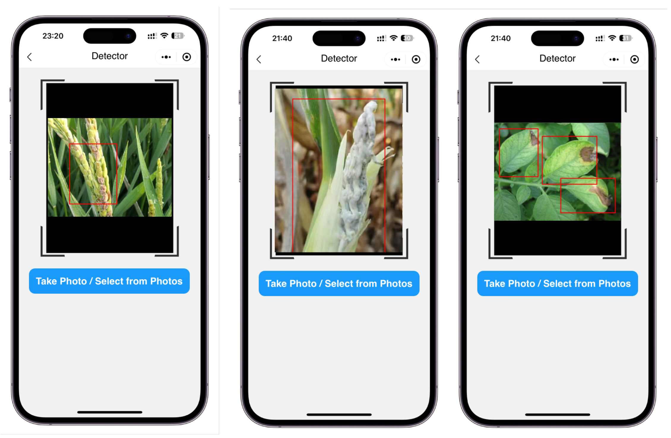 A High-Precision Plant Disease Detection Method Based on a Dynamic ...