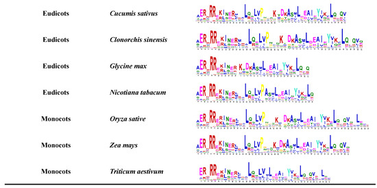 Transcriptional and Post-Translational Regulation of Plant bHLH ...