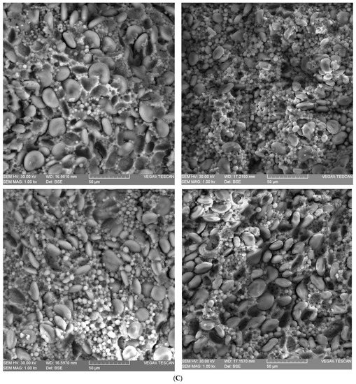 Physicochemical Characteristics and Microstructure of Ancient and ...