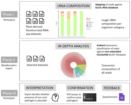 Looking beyond Virus Detection in RNA Sequencing Data: Lessons Learned ...