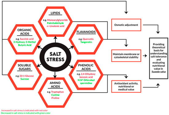 Potential of Halophytes as Sustainable Fodder Production by Using ...