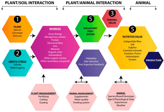 Potential of Halophytes as Sustainable Fodder Production by Using ...