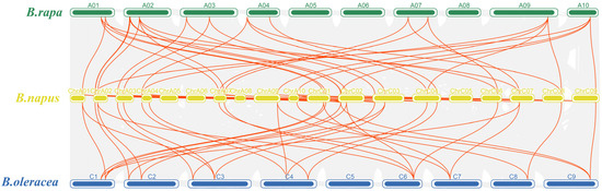 Identification and Expression Analysis of the Isopentenyl Transferase ...