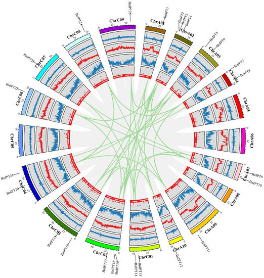 Identification and Expression Analysis of the Isopentenyl Transferase ...