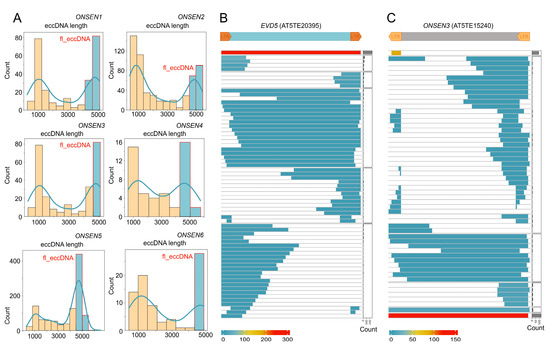 Composition and Structure of Arabidopsis thaliana Extrachromosomal ...