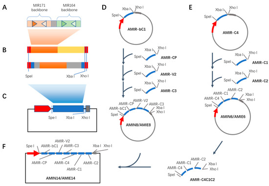 Large Artificial microRNA Cluster Genes Confer Effective Resistance ...