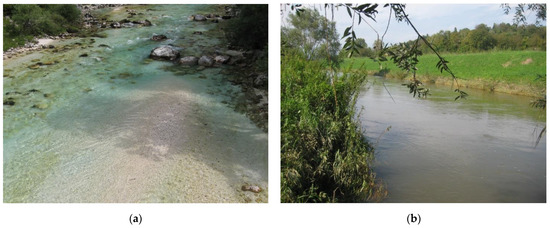 Plants | Free Full-Text | Differences in Phytobenthic Diatom Community ...