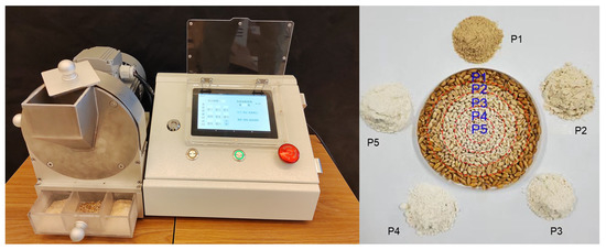 Insights into the Functional Components in Wheat Grain: Spatial Pattern ...