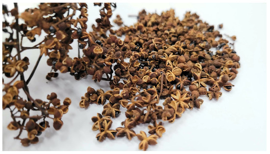 Antioxidant and Antimicrobial Properties and GC-MS Chemical ...