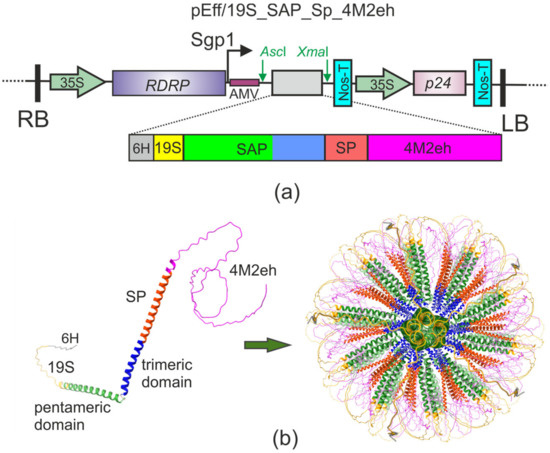 Plant-Produced Nanoparticles Based on Artificial Self-Assembling ...