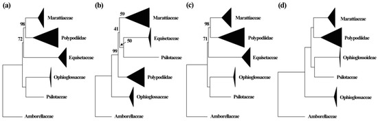 Transcriptome-Based Study on the Phylogeny and Hybridization of ...