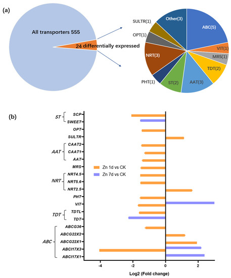 Response and Tolerance of Macleaya cordata to Excess Zinc Based on ...