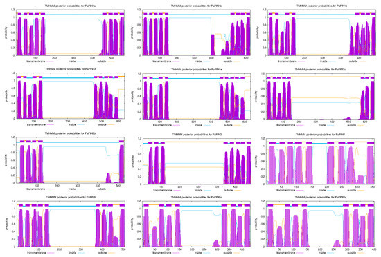 Characterization of the PIN Auxin Efflux Carrier Gene Family and Its ...