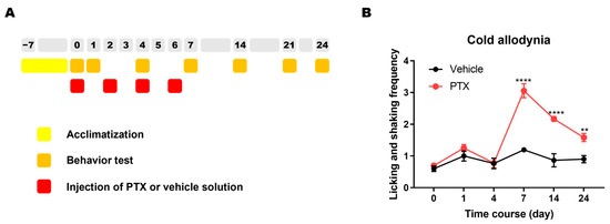 Magnolin Inhibits Paclitaxel-Induced Cold Allodynia and ERK1/2 ...