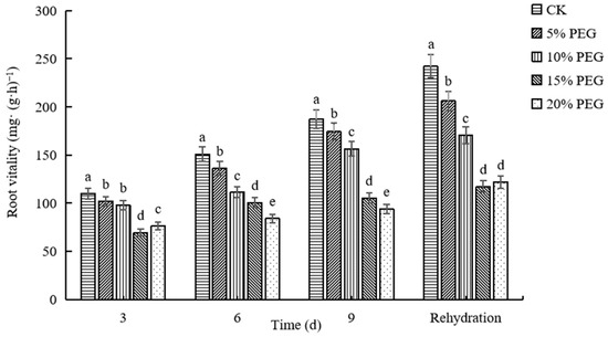 Effects of Drought Stress Induced by Hypertonic Polyethylene Glycol ...