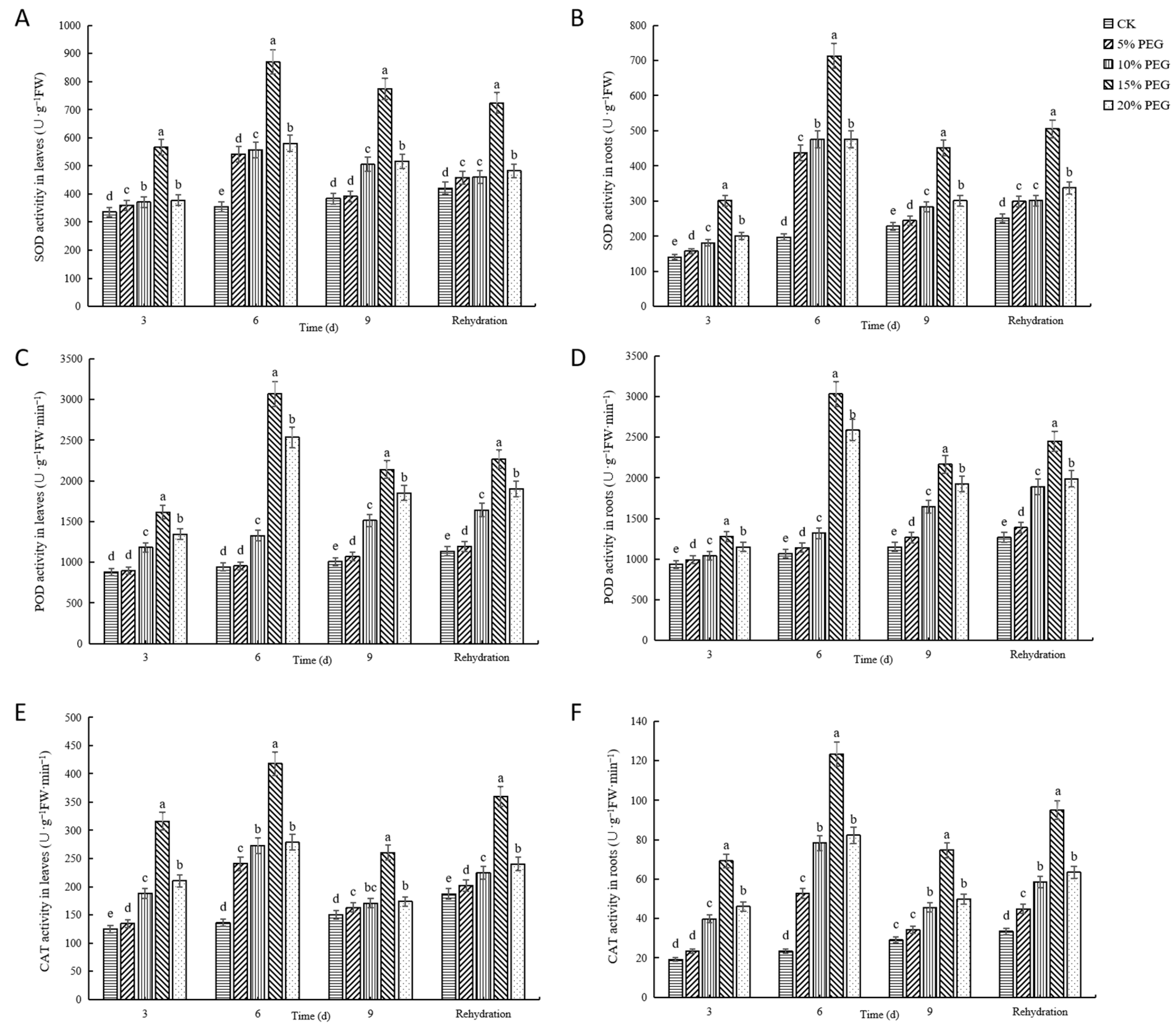 Effects of Drought Stress Induced by Hypertonic Polyethylene Glycol ...