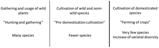Prehistoric Plant Exploitation and Domestication: An Inspiration for ...