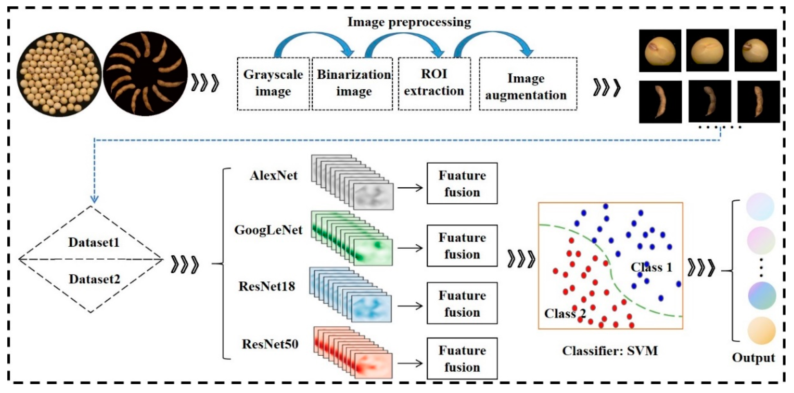 Identification of Soybean Mutant Lines Based on Dual-Branch CNN Model ...