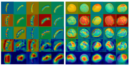 Identification of Soybean Mutant Lines Based on Dual-Branch CNN Model ...