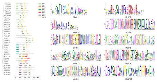 Characterization and Coexpression Analysis of the TIFY Family Genes in ...