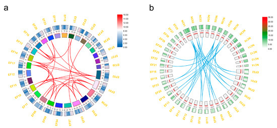 Characterization and Coexpression Analysis of the TIFY Family Genes in ...