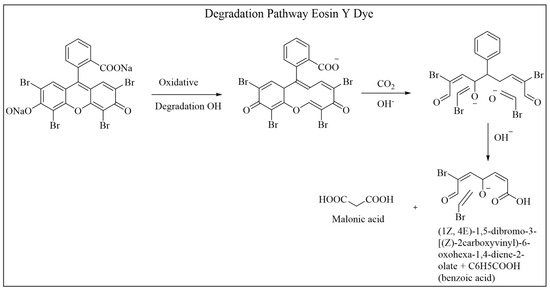 Plant Extract-Based Fabrication of Silver Nanoparticles and Their ...