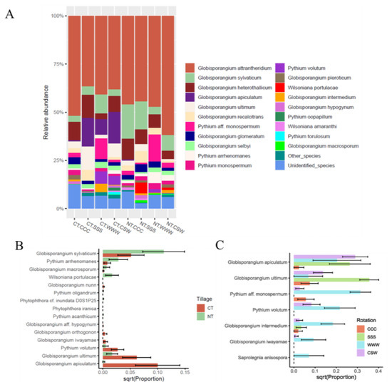 Plants | Free Full-Text | Long-Term Tillage and Crop Rotation Regimes Reshape Soil-Borne ...