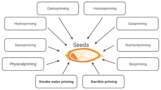 Plant-Derived Smoke and Karrikin 1 in Seed Priming and Seed Biotechnology