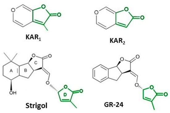 Plant-Derived Smoke and Karrikin 1 in Seed Priming and Seed Biotechnology