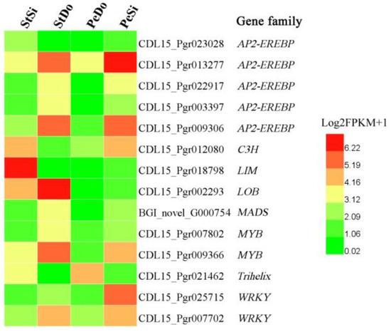 Combined Transcriptome and Proteome Analysis Provides Insights into Petaloidy in Pomegranate
