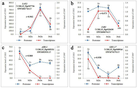Combined Transcriptome and Proteome Analysis Provides Insights into Petaloidy in Pomegranate
