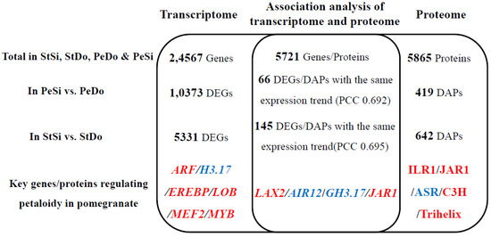 Combined Transcriptome and Proteome Analysis Provides Insights into Petaloidy in Pomegranate