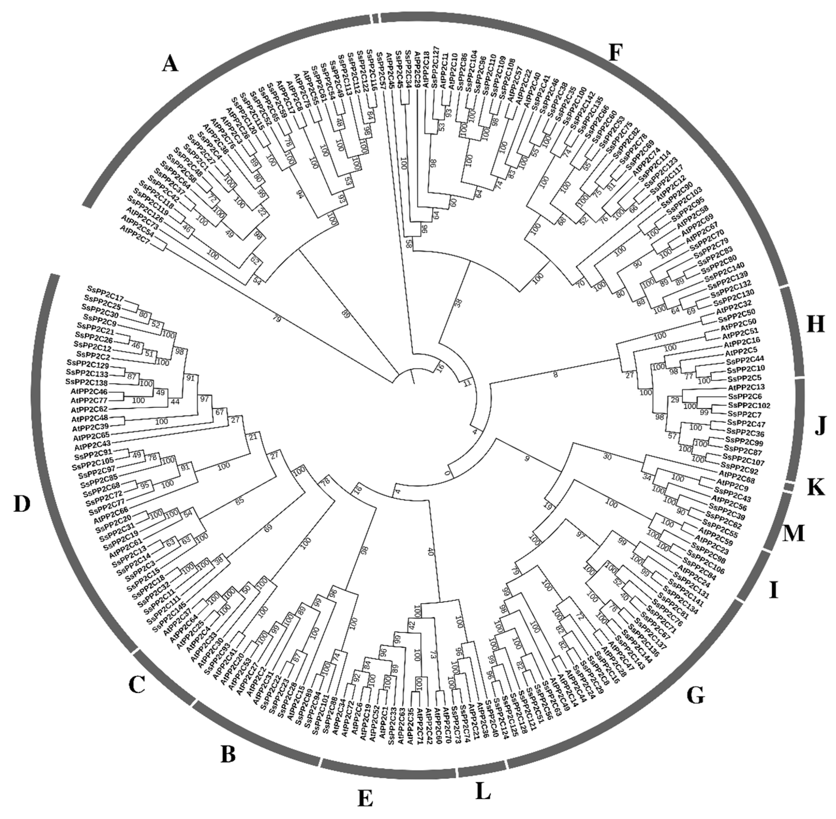 Genome-Wide Identification of the PP2C Gene Family and Analyses with ...