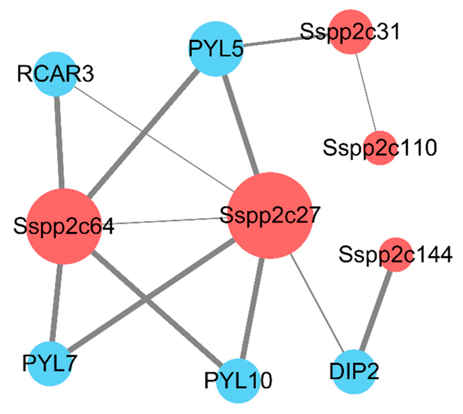 Genome-Wide Identification of the PP2C Gene Family and Analyses with ...