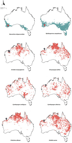 Improving Seed Morphology and Germination Potential in Australian ...