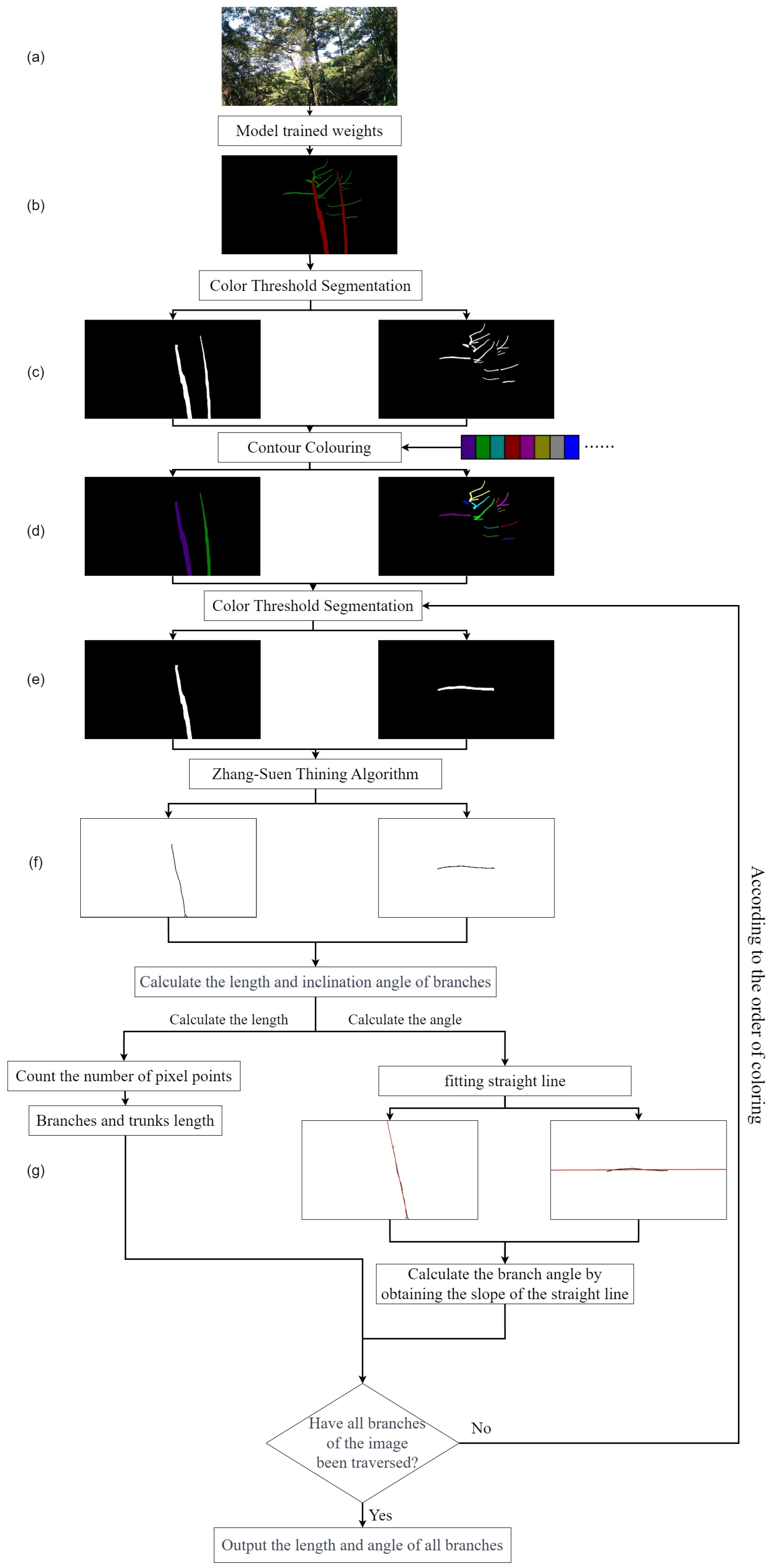 Plants | Free Full-Text | Testing a Method Based on an Improved UNet ...