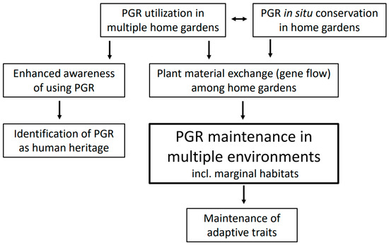 The Role of Home Gardens in Promoting Biodiversity and Food Security