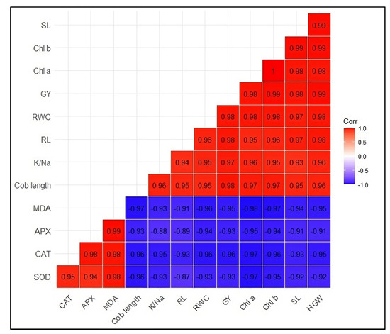 Plants | Free Full-Text | Synergistic Effects of Rhizobacteria and ...
