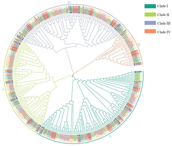 Whole-Genome Identification of Regulatory Function of CDPK Gene ...