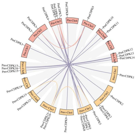 Whole-Genome Identification of Regulatory Function of CDPK Gene ...