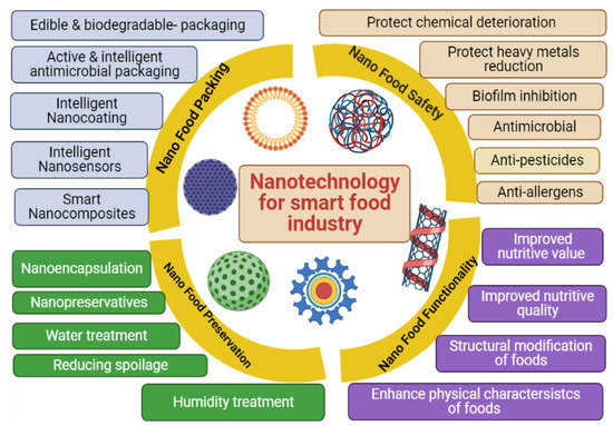 Plants | Free Full-Text | Nanotechnology in Food and Plant Science: Challenges and Future Prospects